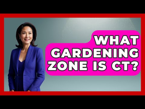 What Gardening Zone Is CT? - The Plant Enthusiast