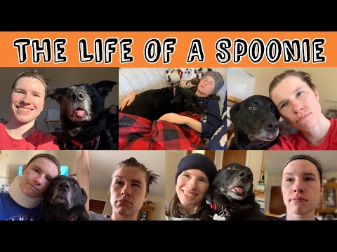 Chronic Pain & The Spoon Theory