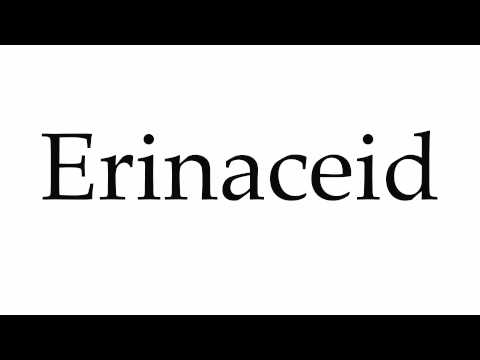 How to Pronounce Erinaceid