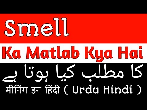 Smell Meaning | Smell Meaning In Urdu Hindi | Smell Ka Matlab Kya Hota Hai | Smell Ka Meaning Kya Ha