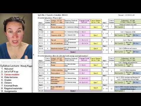Syllabus 3- Canvas modules