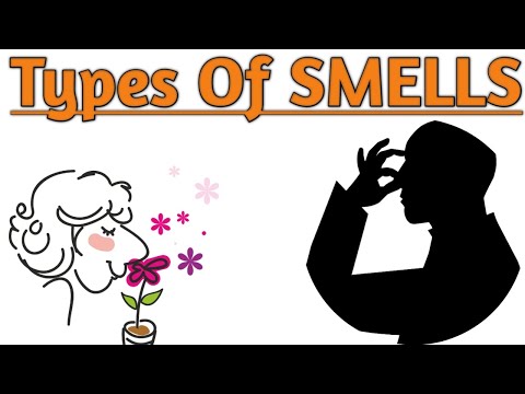 Different Types of Smells | Types of Smells in Hindi | सुगंध/दुर्गन्ध |khusboo/badboo |SAVVY ENGLISH