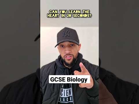 GCSE Biology - Can you Learn the Heart in 20 Seconds?