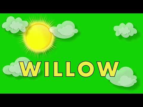 Spell Willow | With A Song | Helps Kids Learn to Spell Their Name | Brainsprays.com
