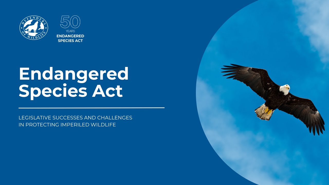 ESA Symposium Highlights