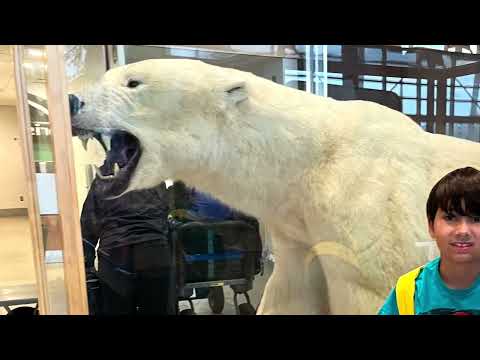 Fairbanks International Airport: Insider Tips and Family-Friendly Facts!