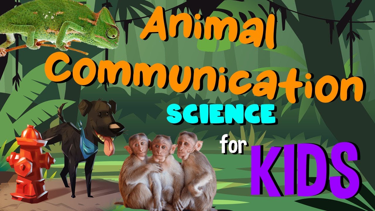 Animal Communication | Science for Kids