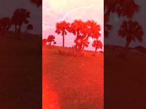 Juicy FPV Freestyle Flow 💣 🔥 #gopro #seajayefpv #drone #trip #gaming #epic #fun #park #musicvideo