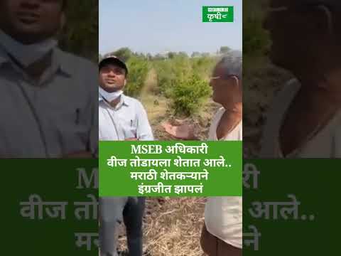 MSEB अधिकारी वीज तोडायला शेतात आले..मराठी शेतकऱ्याने इंग्रजीत झापलं