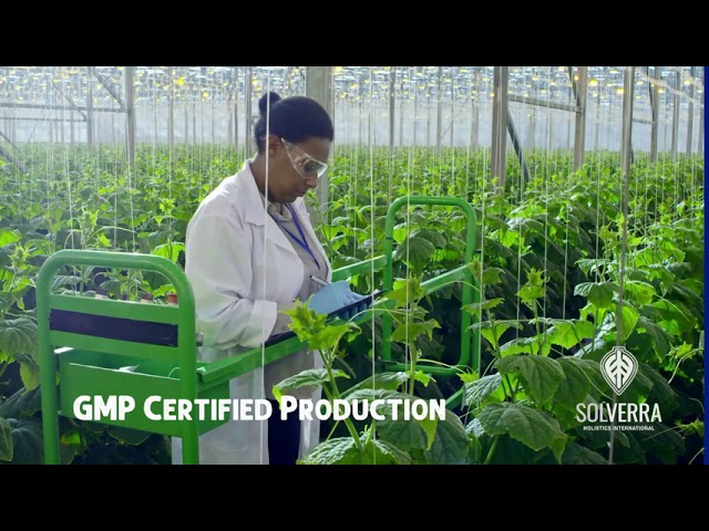 Solverra Holistics - Healing Earth One Molecule At A Time