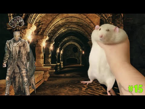 Steam Community :: Video :: Dark Souls II - Royal Rat Vanguard (Bosses ...