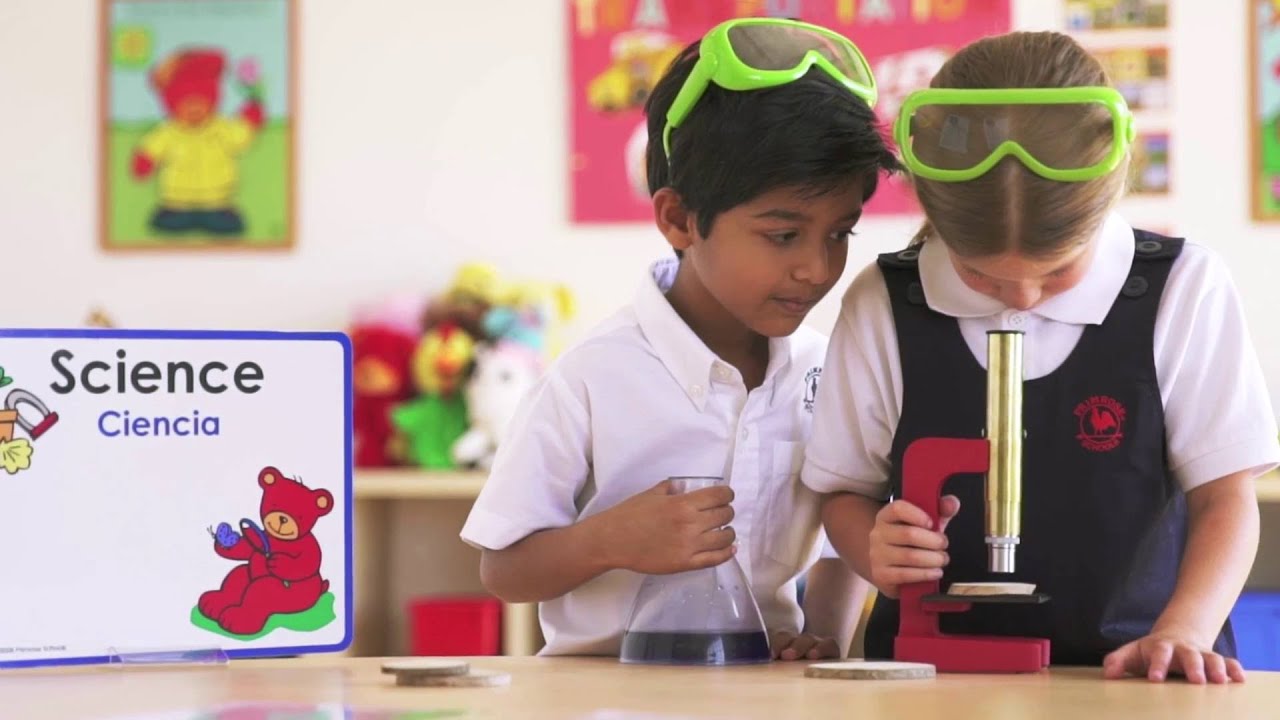 Balanced Learning: STEAM-Based Lessons