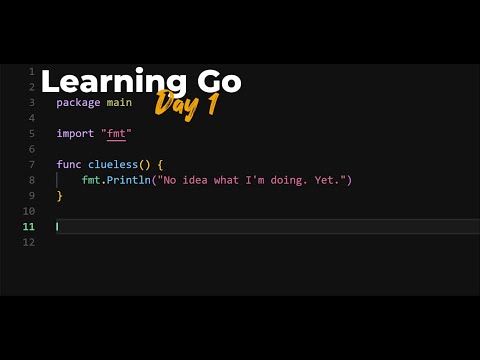 Learning GO from Scratch (Day 1) #coding #golang #backend #concurrency #watchjallacode