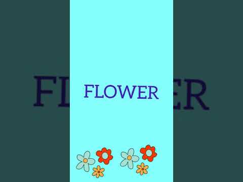 pronunciation of the word flower