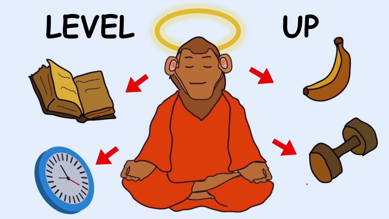The EASIEST Daily Routine for Self Improvement Explained Using Monkeys