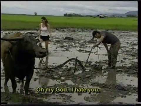 About | My Ox Is Broken