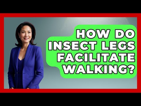 How Do Insect Legs Facilitate Walking? - Reptilian Wonders