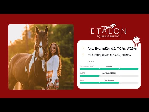 Diagnostic Consultation for Tobylicious & Marina Layton