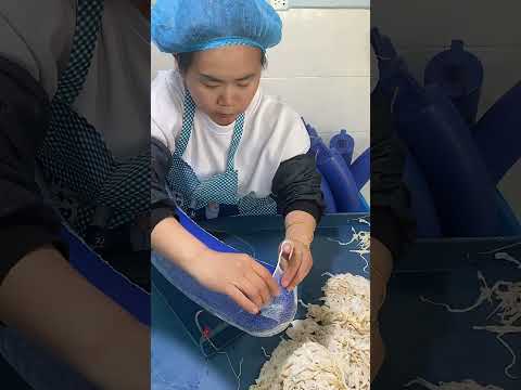 Sausage Skin Manually Making Technique !