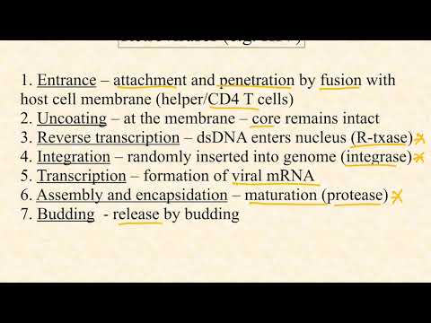 BIO2020 Episode 047: retroviruses