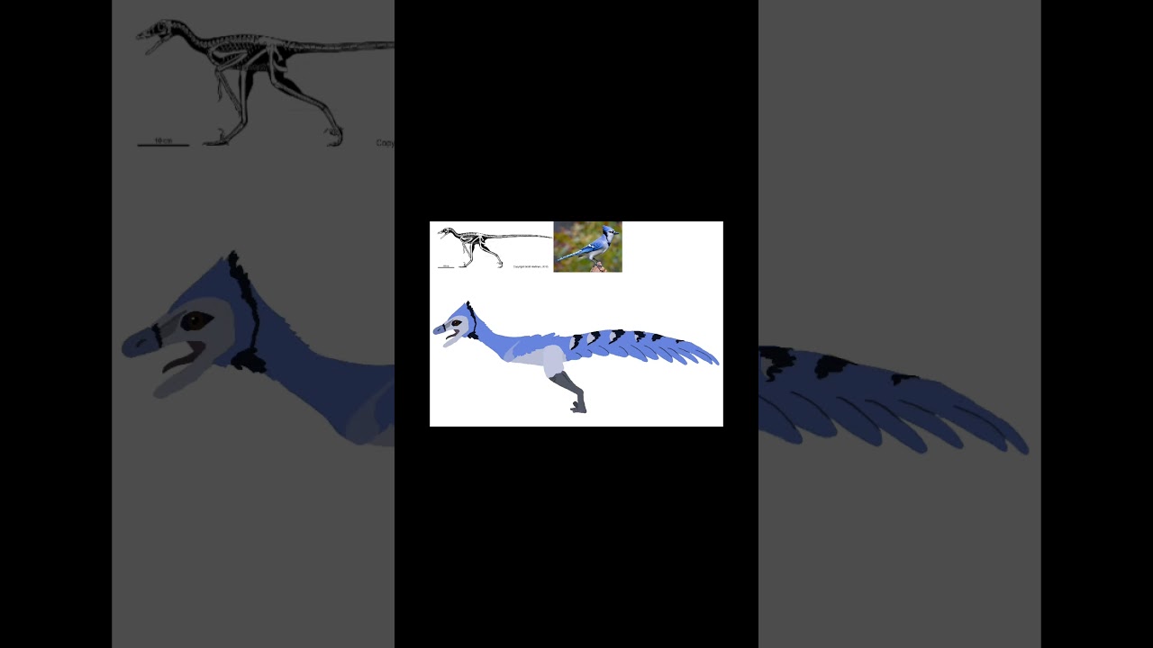 Microraptor Showcase+ Link//Stick Nodes Pro// #dinosauranimation #dinosaur #sticknodes #dinosaurus