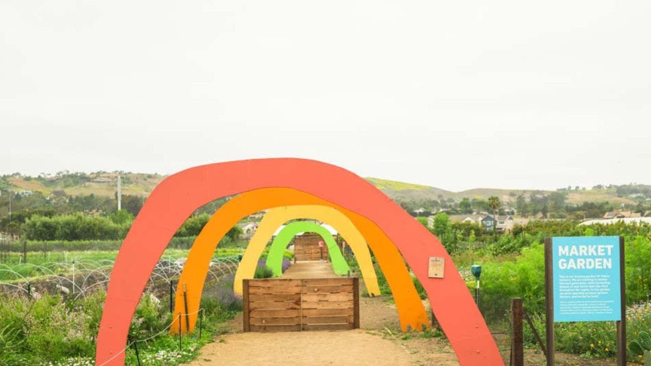 Welcome to The Ecology Center in San Juan Capistrano, California