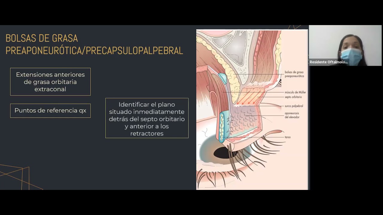 Anatomía de párpados Dra. Nathalie Márquez