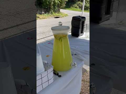 Lemonade Stand! #youtubeshorts #youtube #tiktokvideo #youtuber #instagram #lemonade #explore #fun