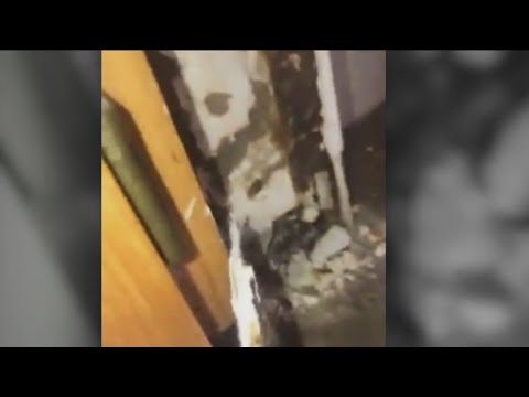 'Mold saunas:' Family claims JBLM housing as source of sickness