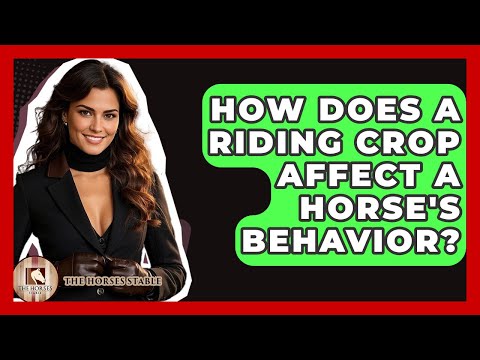 How Does A Riding Crop Affect A Horse's Behavior? - The Horses Stable