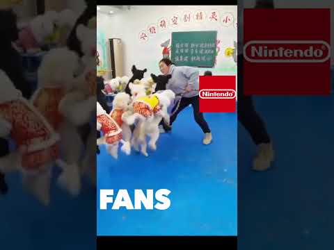 Nintendo Fans Every Time Nintendo...