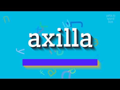 How to say "axilla"! (High Quality Voices)