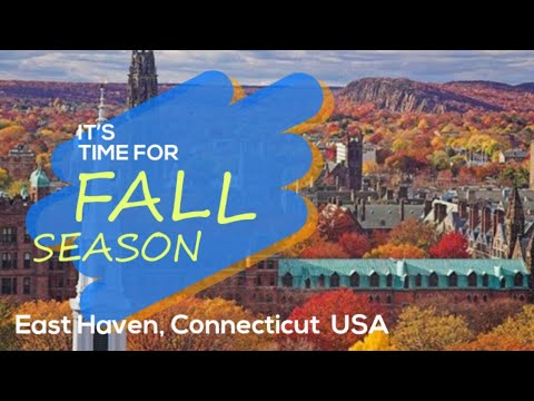 FALL| First ever fall season experience | Here in CT- USA| By EveR