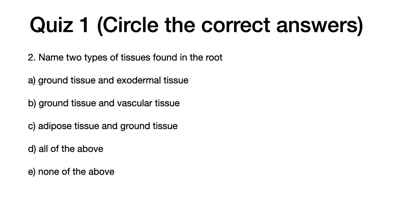 Plant Physiology: Quiz 1