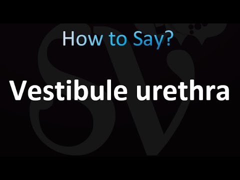 How to Pronounce Vestibule urethra (correctly!)