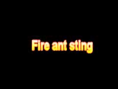 What Is The Definition Of Fire ant sting - Medical Dictionary Free Online