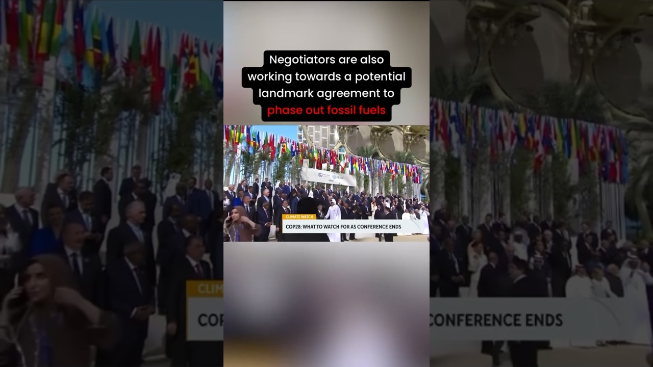 What to know as COP28 continues #shorts