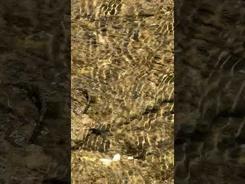 604 Slow Motion Flowing Water IMG 21551