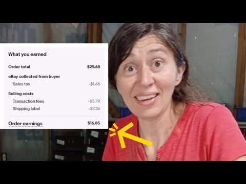 What I make Selling Online both on my website, eBay, and Etsy | the fees suck