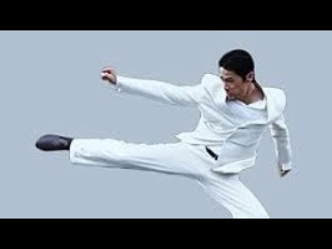 Johnny Tri Nguyen vs Nguyen Thang