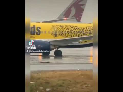 LEOPARD'S PLANE ✈️✈️✈️✈️✈️