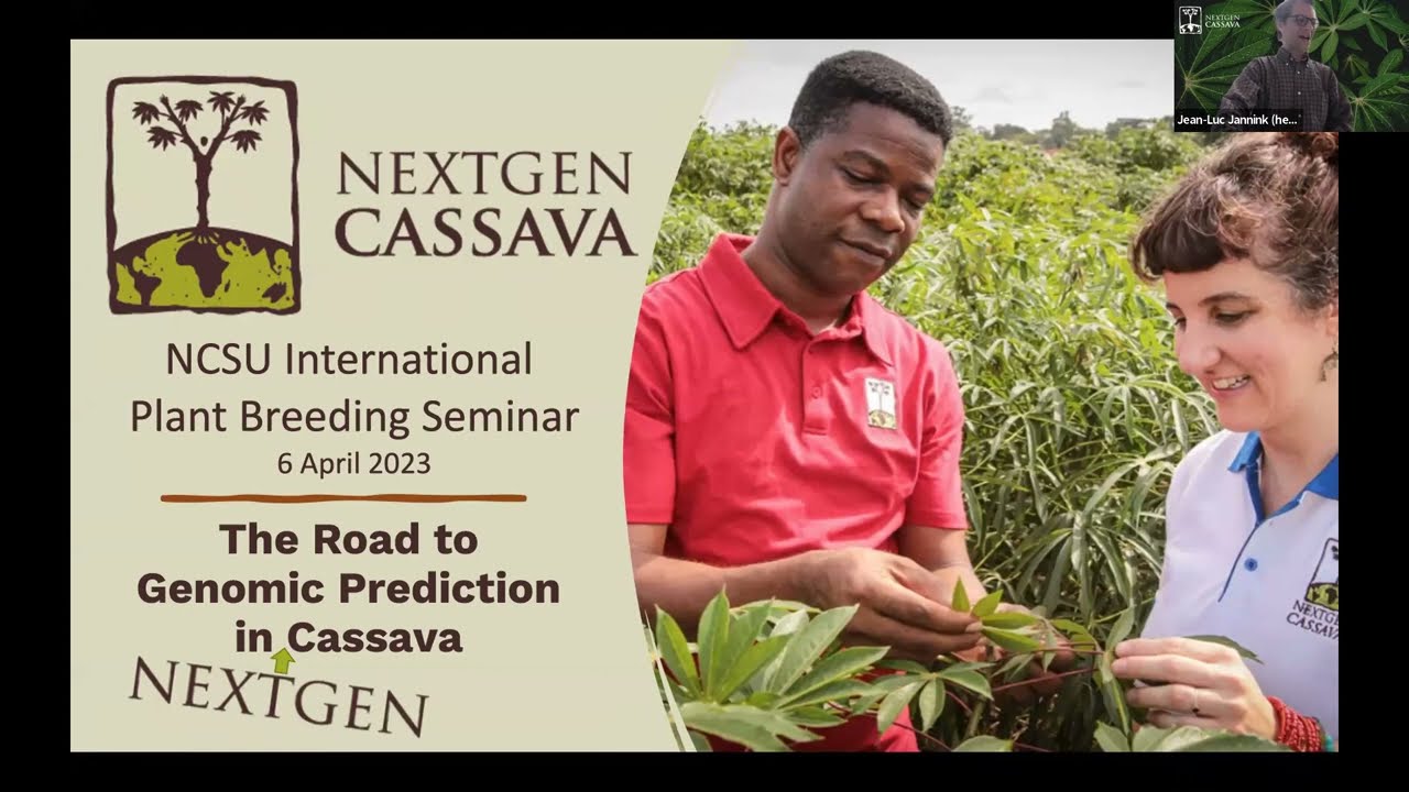 Jean Luc Jannink: The road to genomic prediction in cassava