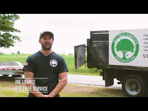 JLs Tree Service