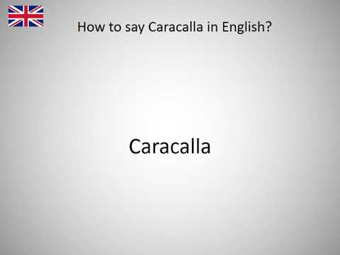 How to say Caracalla in English?