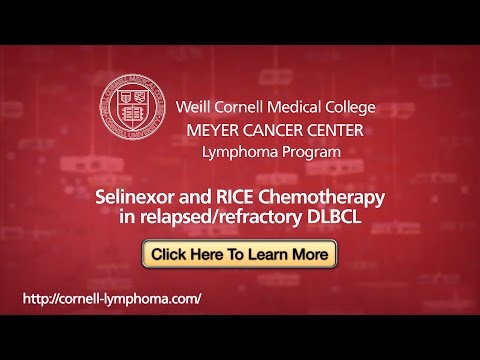 Dr. Sarah Rutherford Describes Recently Opened Trial for Selinexor and ...