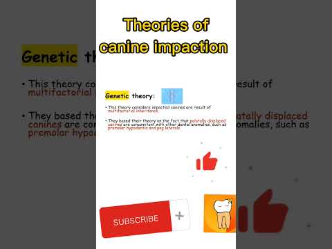 Impacted canine theories #dentistry #malocclusion #dentistryworld #dr #teeth #orthodontics #canines