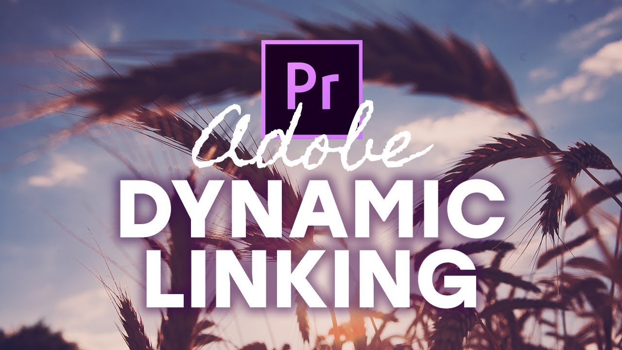 Adobe Dynamic Linking 101