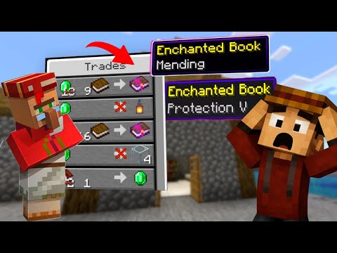 I Made A *SUPER OP LIBRARIAN* 😱 | minecraft survival gameplay