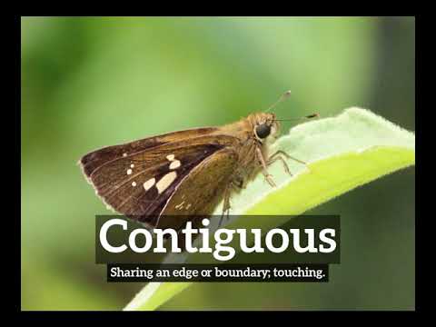 How Does Contiguous Look? | What is Contiguous? | How to Say Contiguous in English?