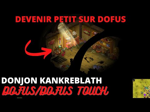TUTO COMMENT DEVENIR PETIT SUR DOFUS ET TUTORIEL RENTRER DANS LE DONJON CACHE DE KANKREBLATH RIKIKI